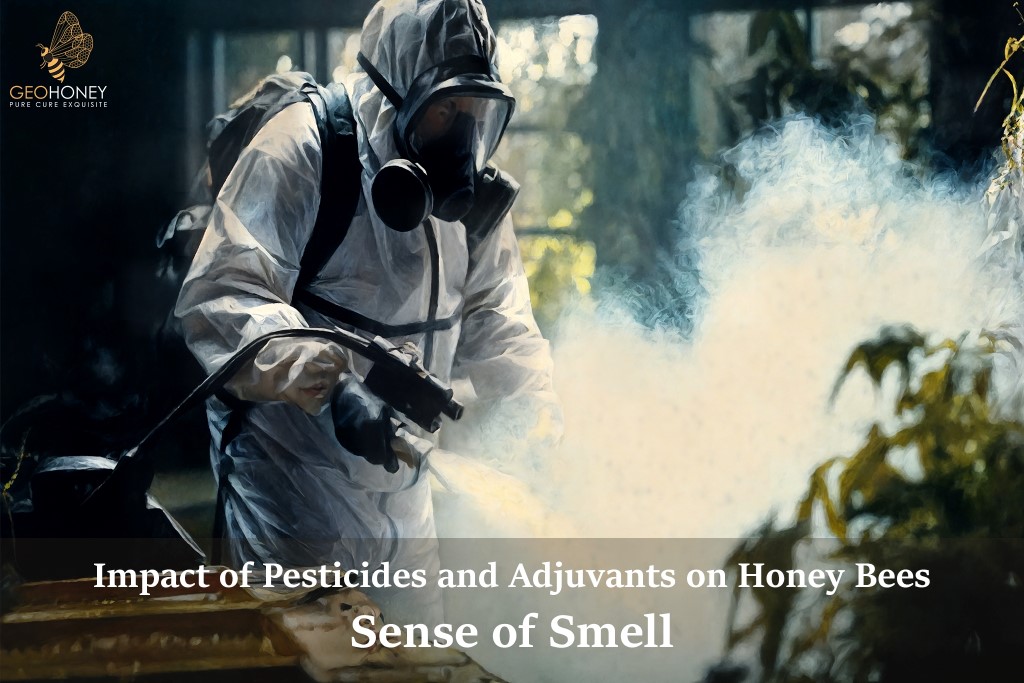 Impact of Pesticides and Adjuvants on Honey Bees Sense of Smell