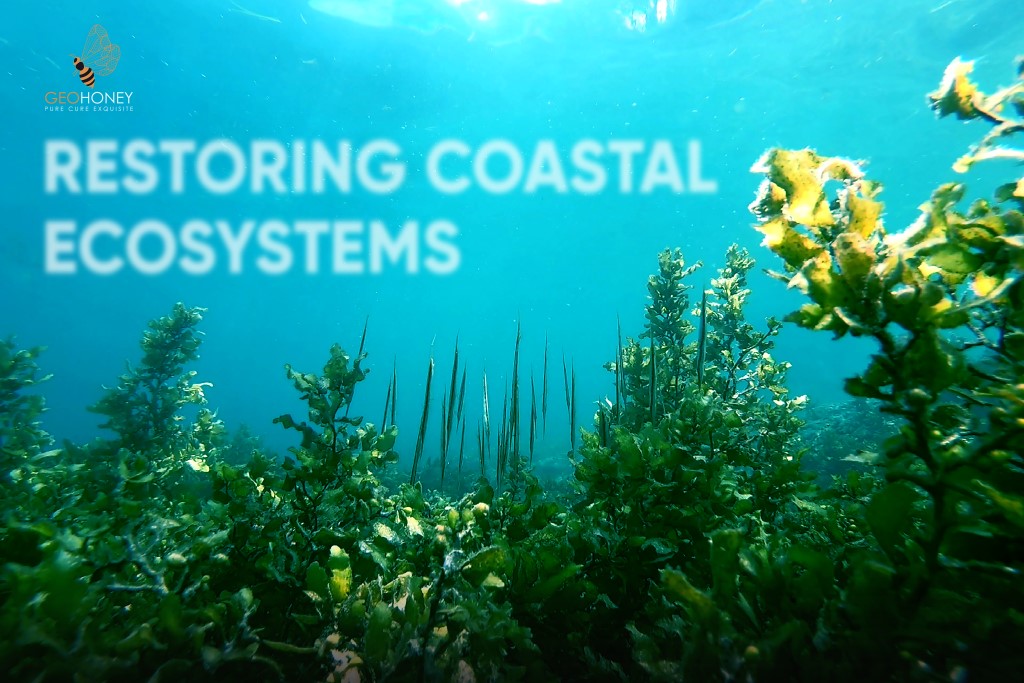 Climate Change Mitigation via Restoring Coastal Ecosystems